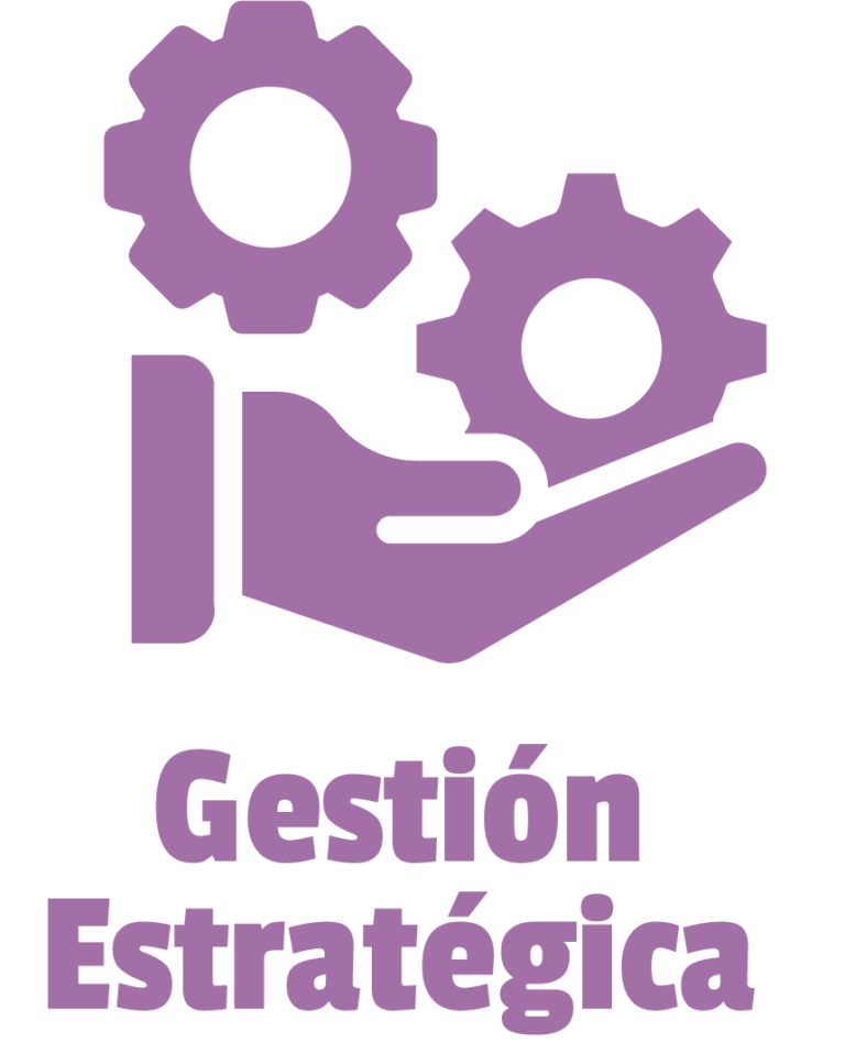 Gestión Estratégica – Observatorio Santiago